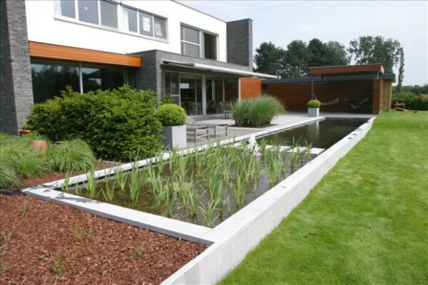 Moderne vijvers en zwemvijvers - Pond zwemvijvers
