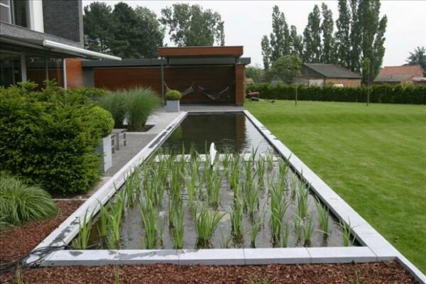Strakke zwemvijver bij moderne woning - Pond zwemvijvers